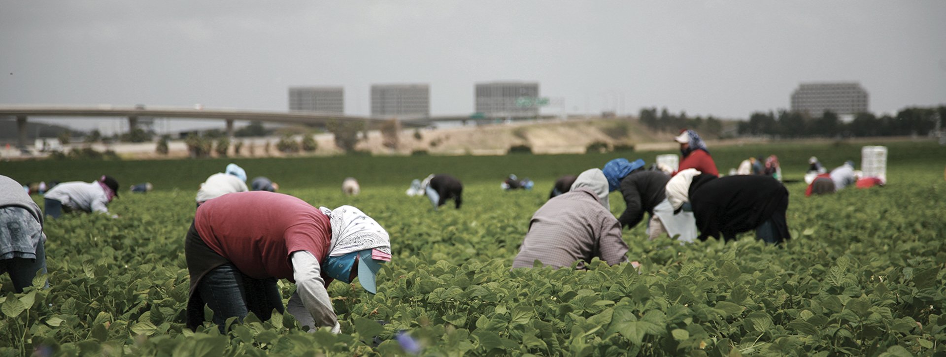 Déclaration de Verisk Analytics sur l’esclavage moderne | Verisk