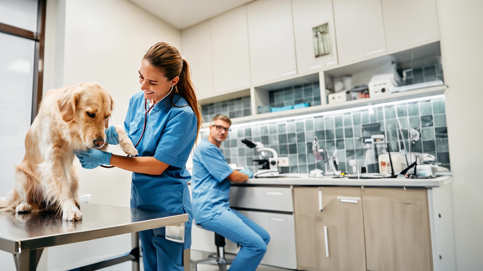 Launch Pet Insurance Fast—Complete Program by Verisk | Verisk